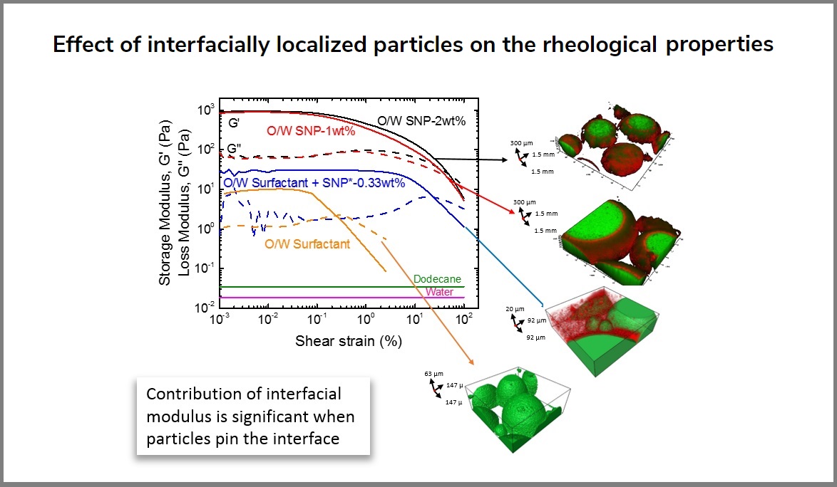 The Trifkovic Research Group