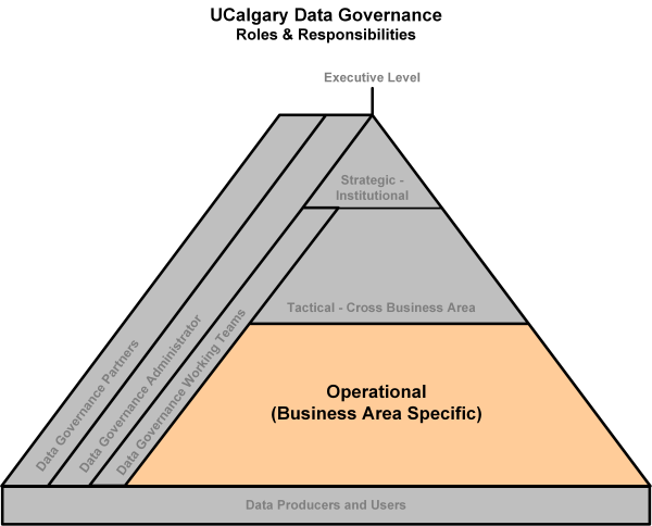 Operational Level | Provost and Vice-President (Academic) | University ...