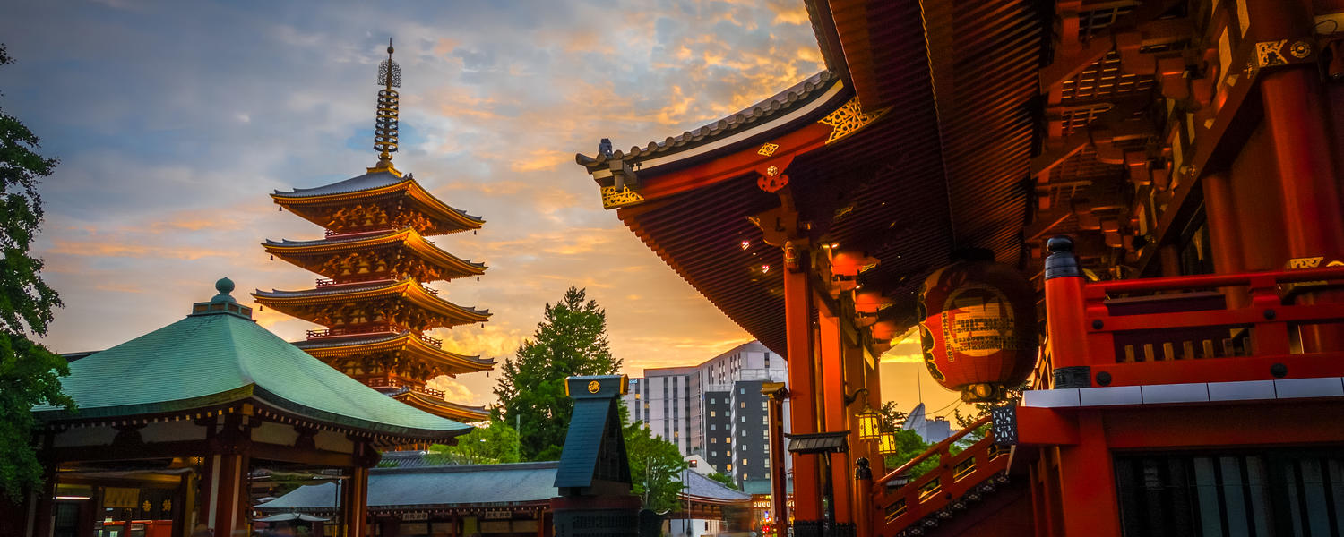 Senshu University | University of Calgary International | University of ...