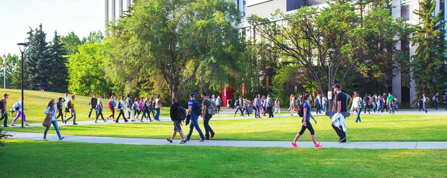 About | University of Calgary