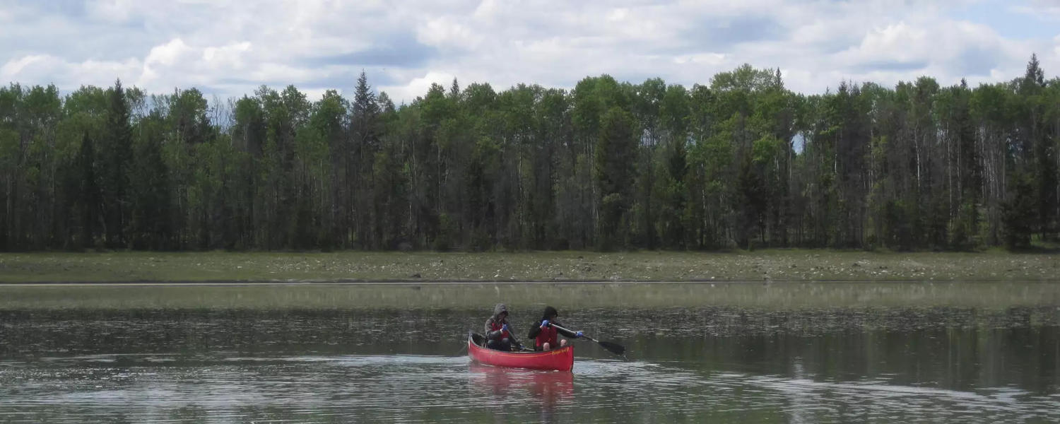 Strous Lab | University of Calgary