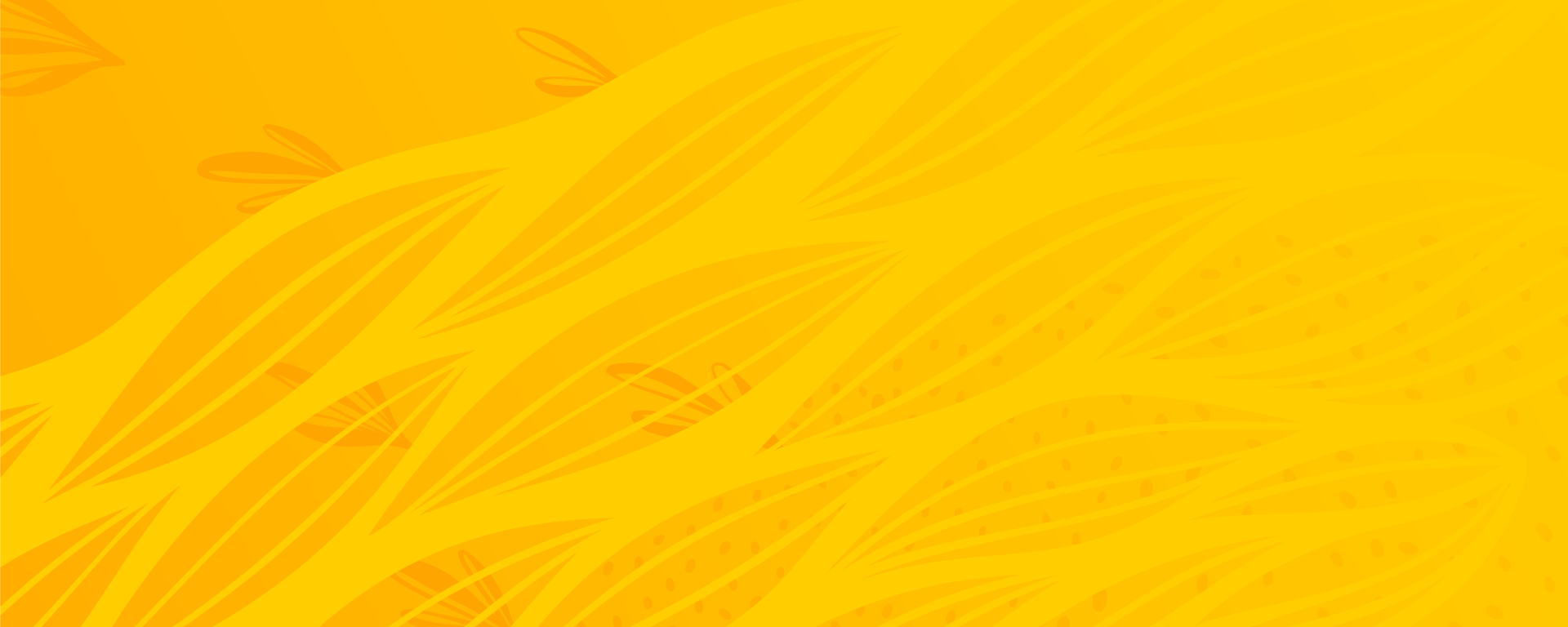 Identities | BRAND | University of Calgary