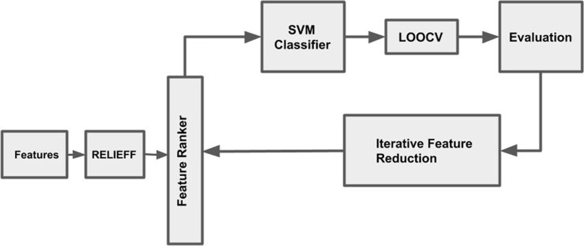 Improved automatic morphology-based classification of Parkinson’s ...