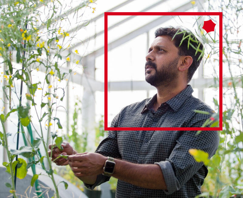 Alumni visual identity | BRAND | University of Calgary